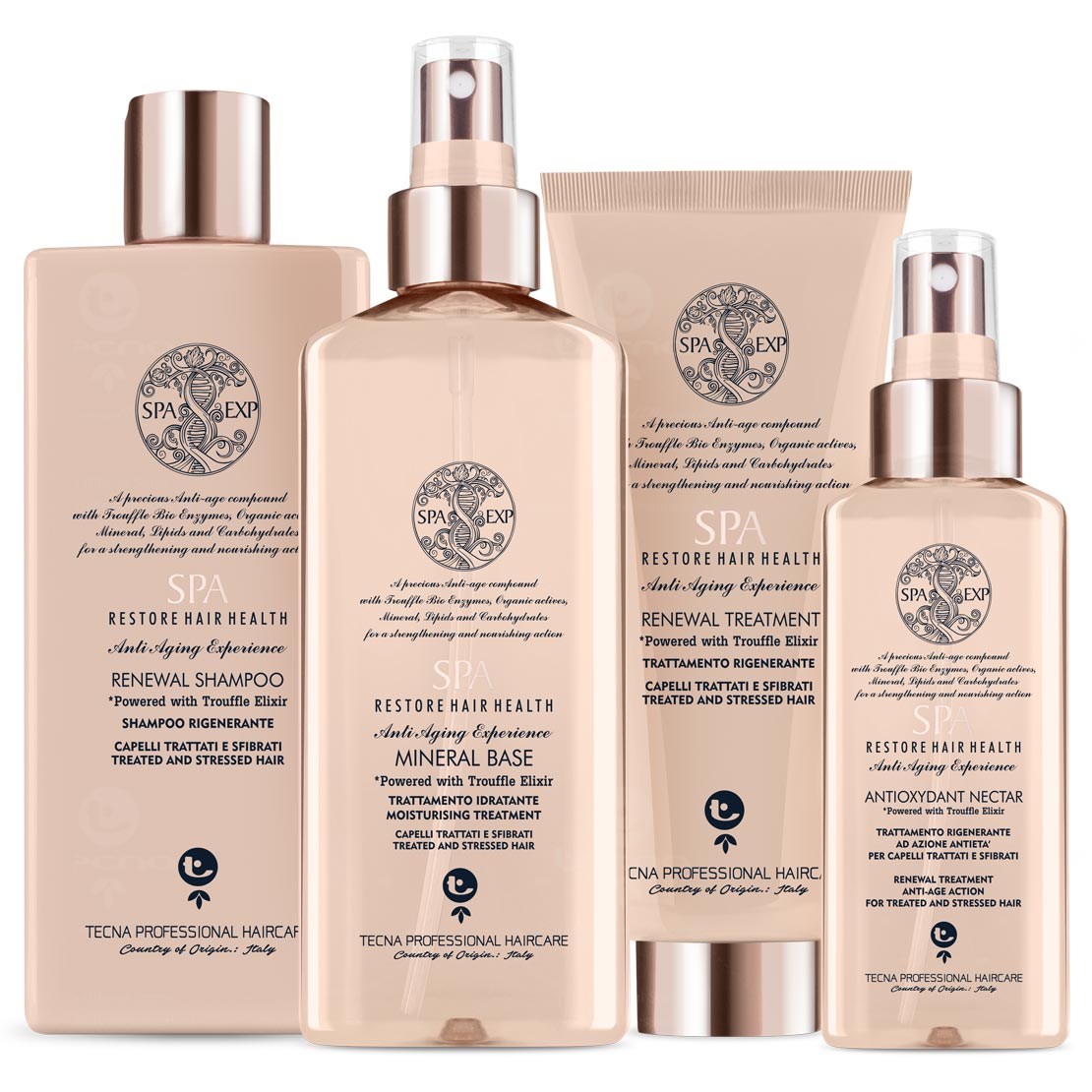 SPA Bio-Enzyme Therapy SET REPAIR PROFESSIONAL TREATMENT shampoo 250ml ...